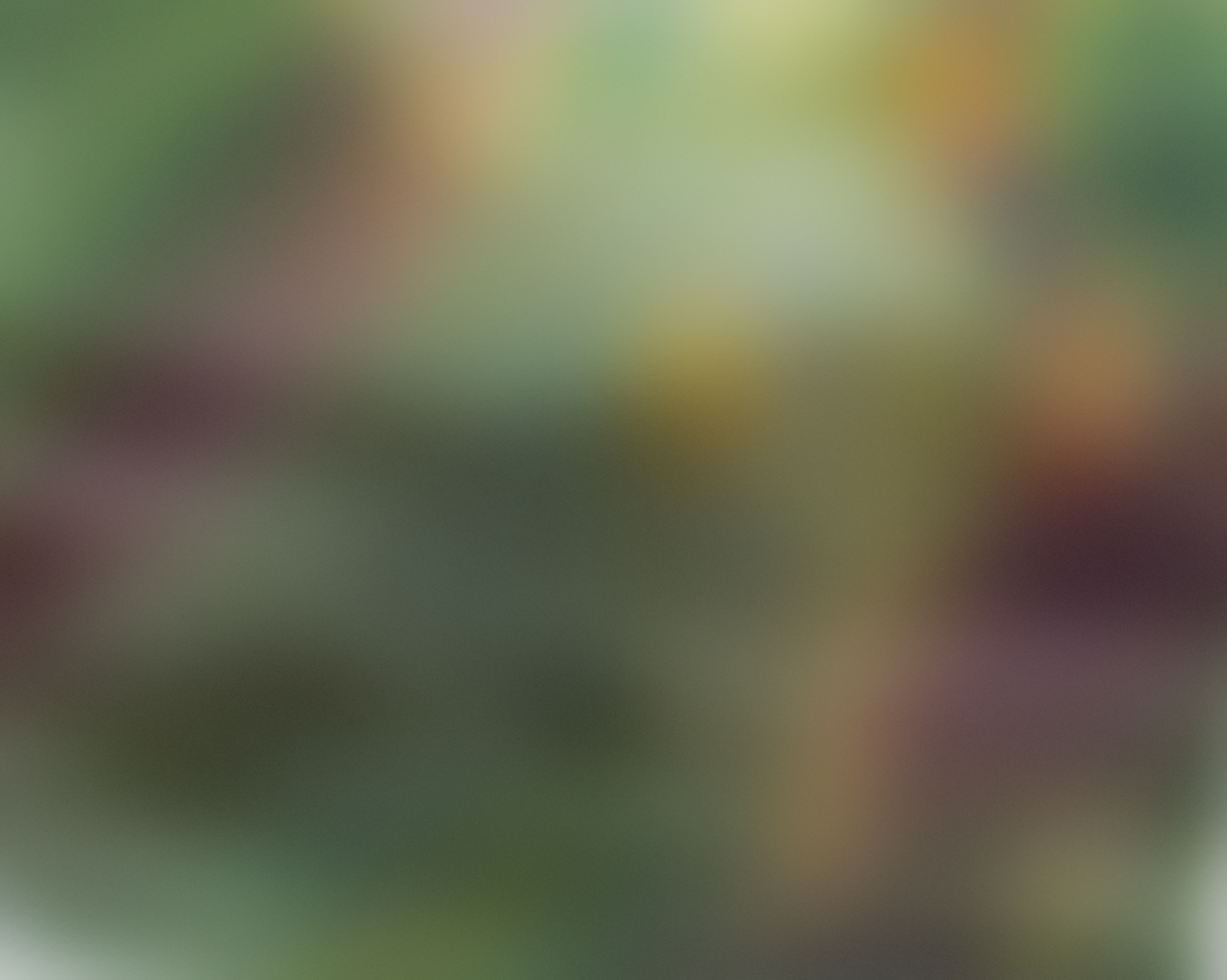 Sage Forest Gold – ALLEL